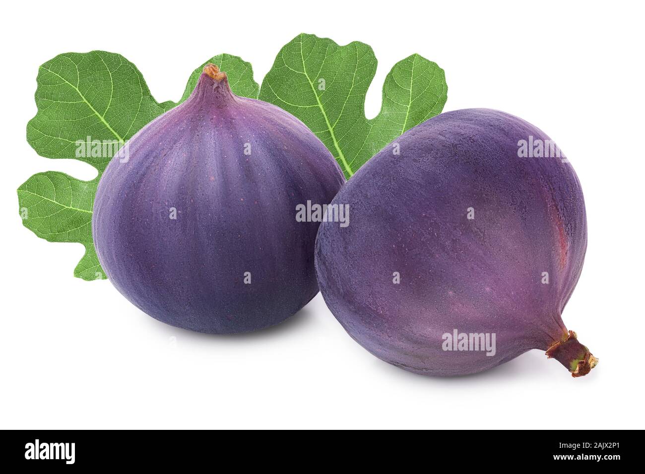 Fig leaf fruit hi-res stock photography and images - Alamy