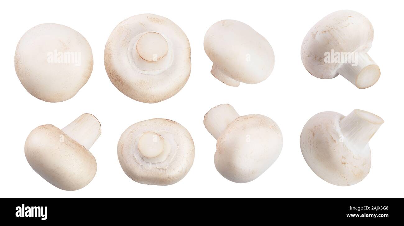 Fresh mushroom champignon isolated on white background . Top view. Flat ...