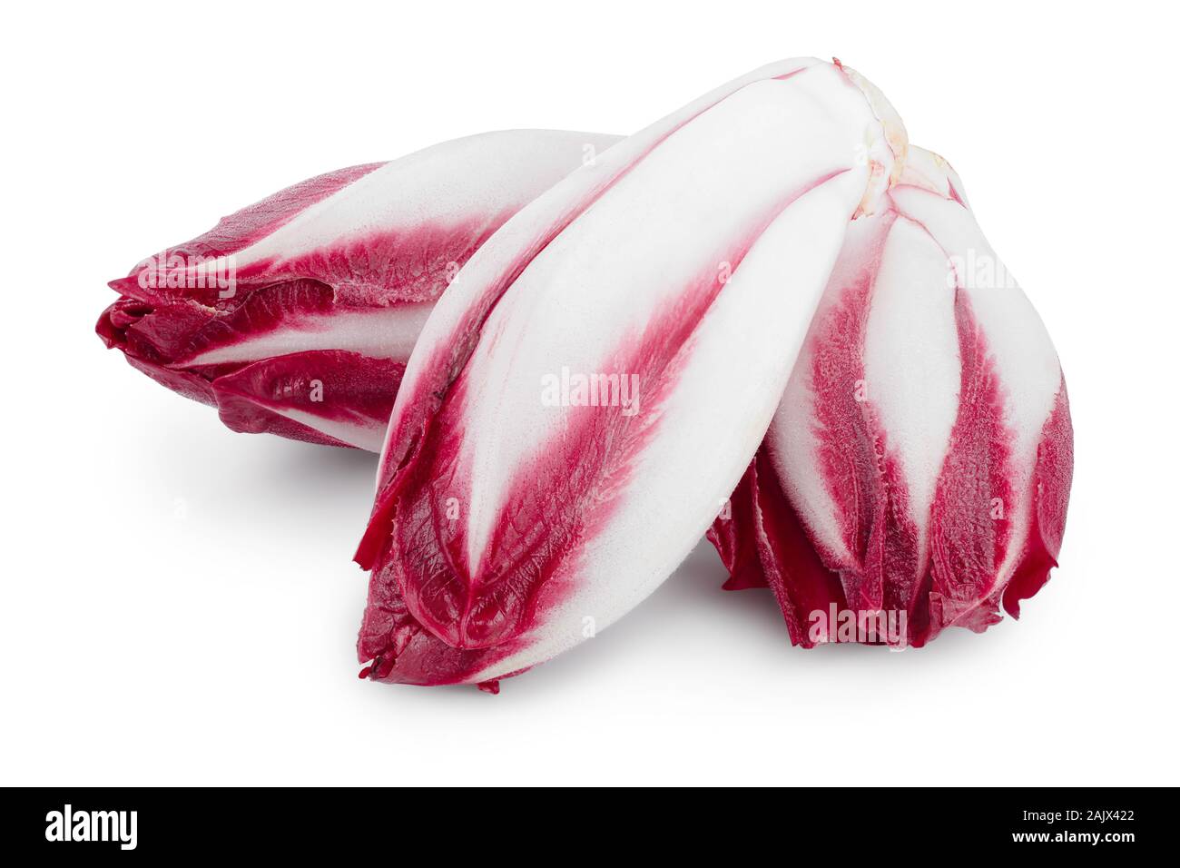 red chicory or radicchio isolated on white background Stock Photo - Alamy