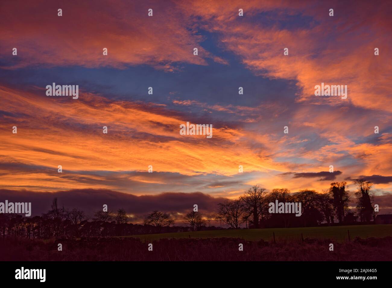 Colliston hi-res stock photography and images - Alamy