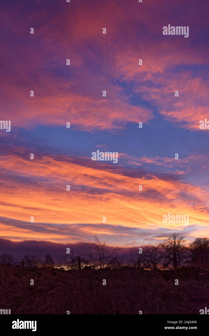 Colliston hi-res stock photography and images - Alamy