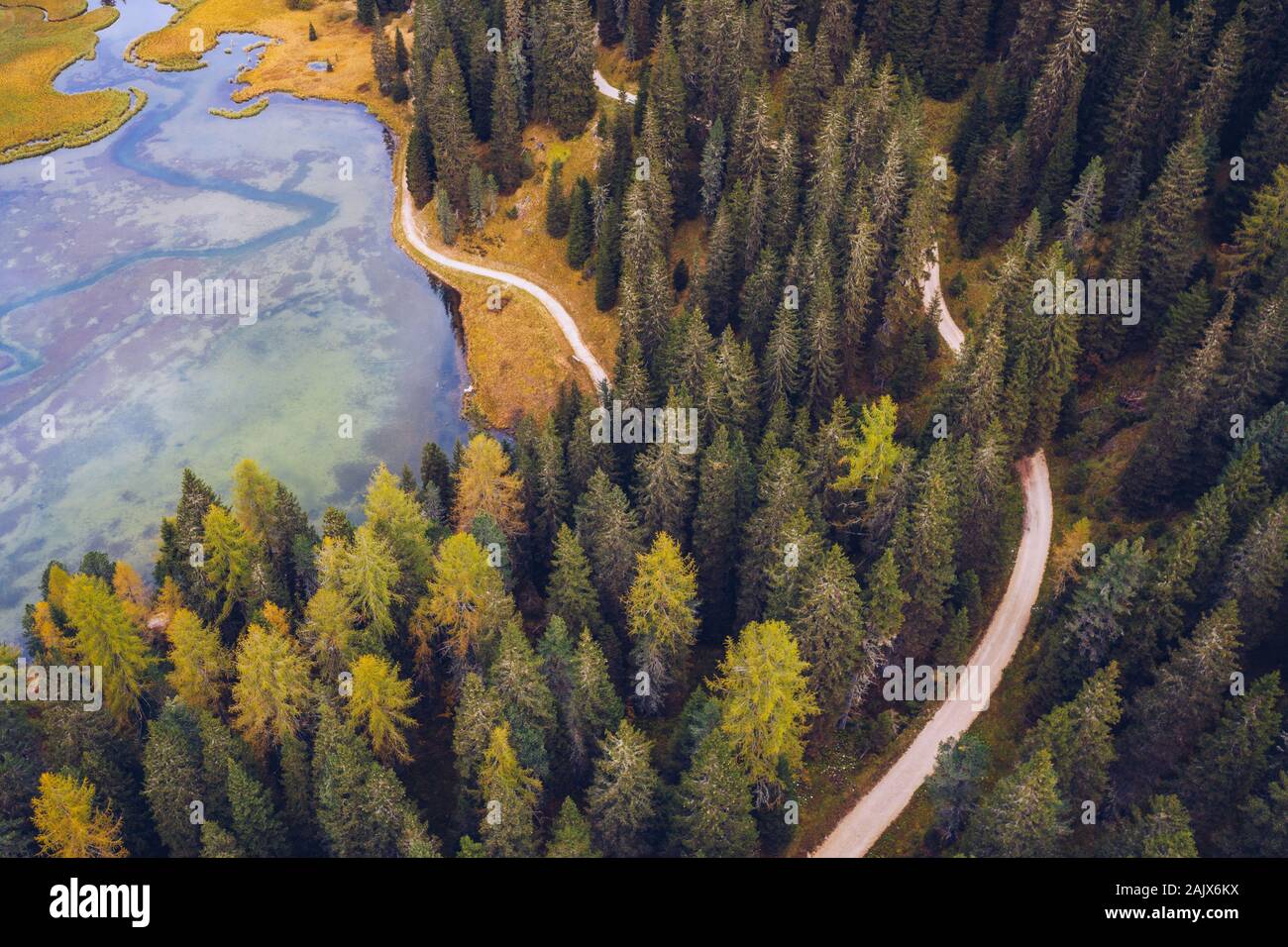 Scenic aerial view of a winding trekking path in a forest. Trekking ...