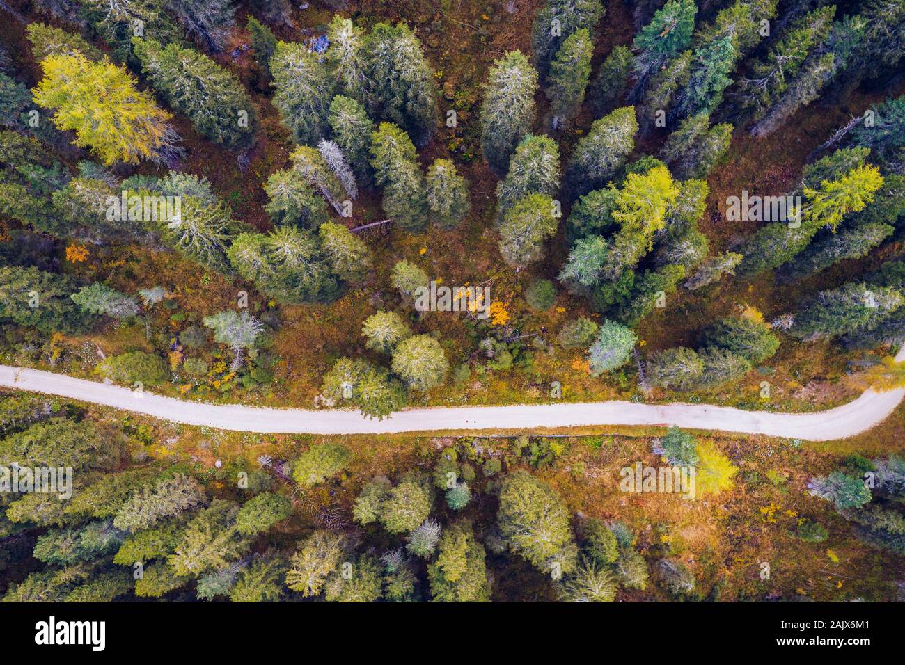 Scenic aerial view of a winding trekking path in a forest. Trekking ...
