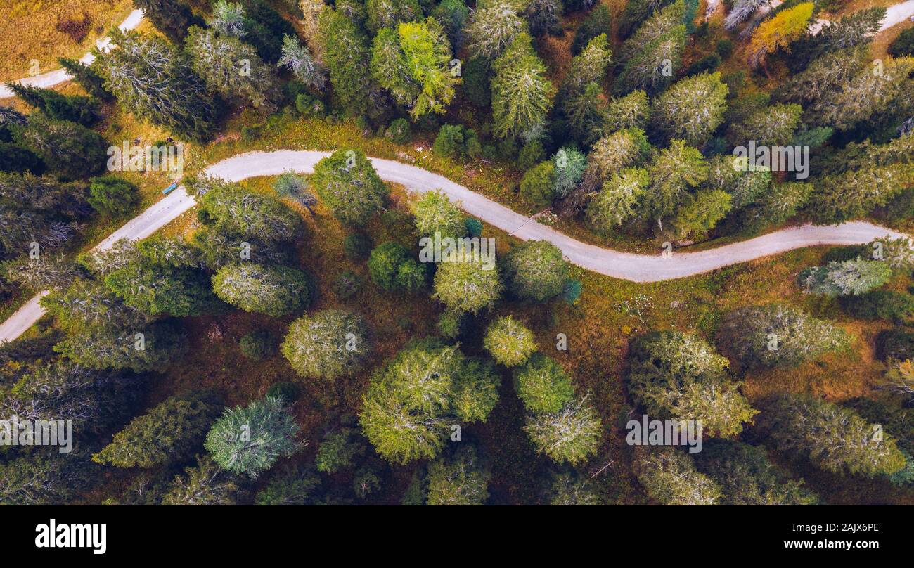 Scenic aerial view of a winding trekking path in a forest. Trekking ...