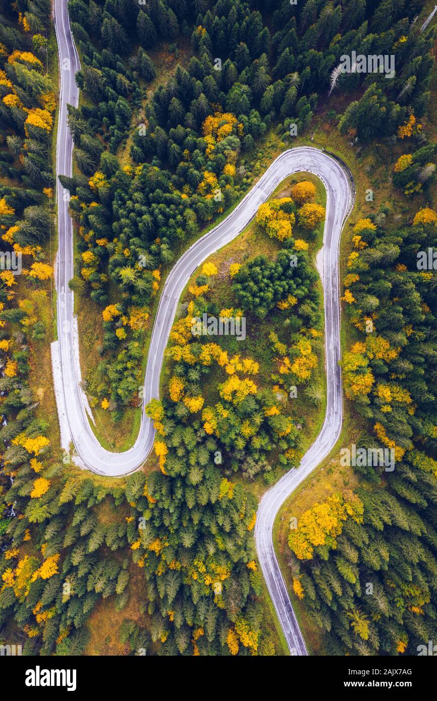 Curved bending road in the forest. Aerial image of a road. Forrest ...