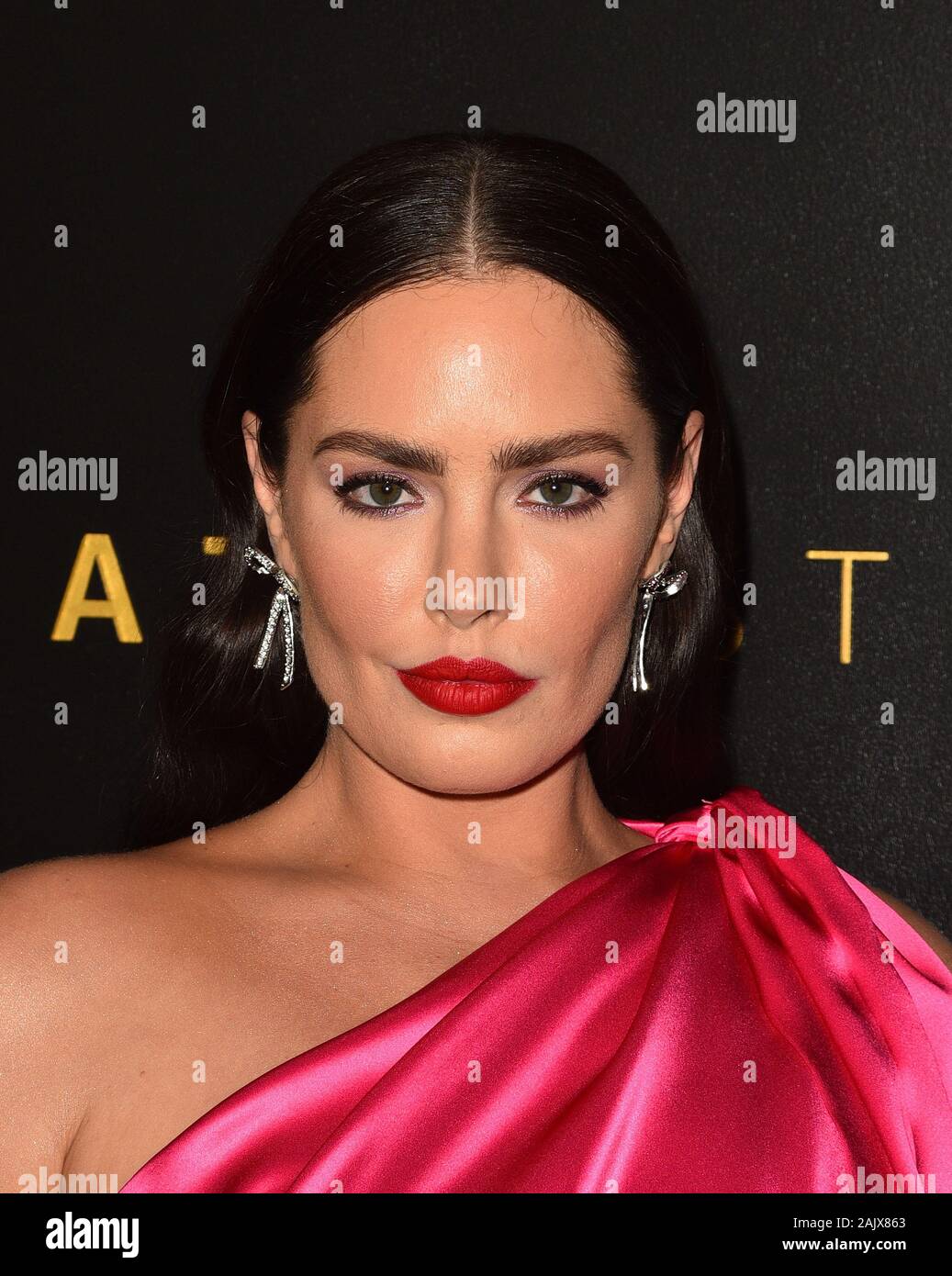 BEVERLY HILLS, CALIFORNIA - JANUARY 05: Beau Dunn attends the Amazon ...