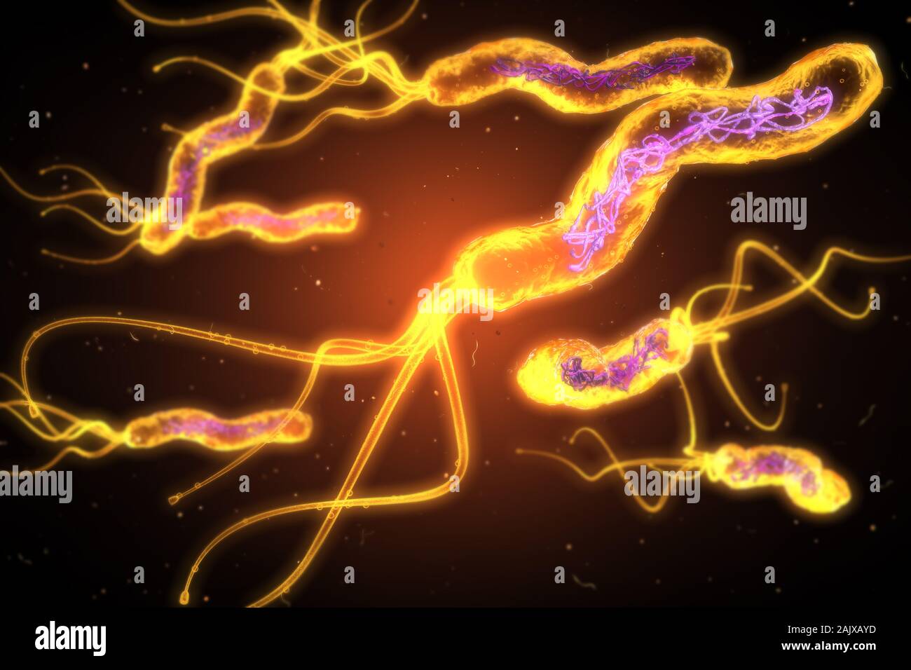 3D illustration showing microscopic view of a group of helicobacter ...