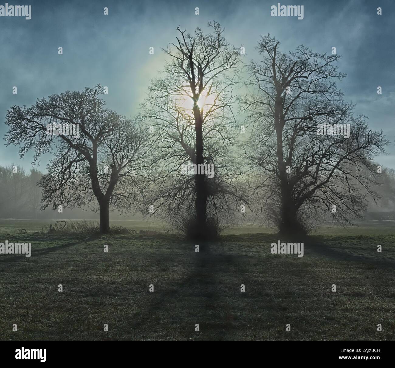 Autumn Trees Uk High Resolution Stock Photography and Images - Alamy