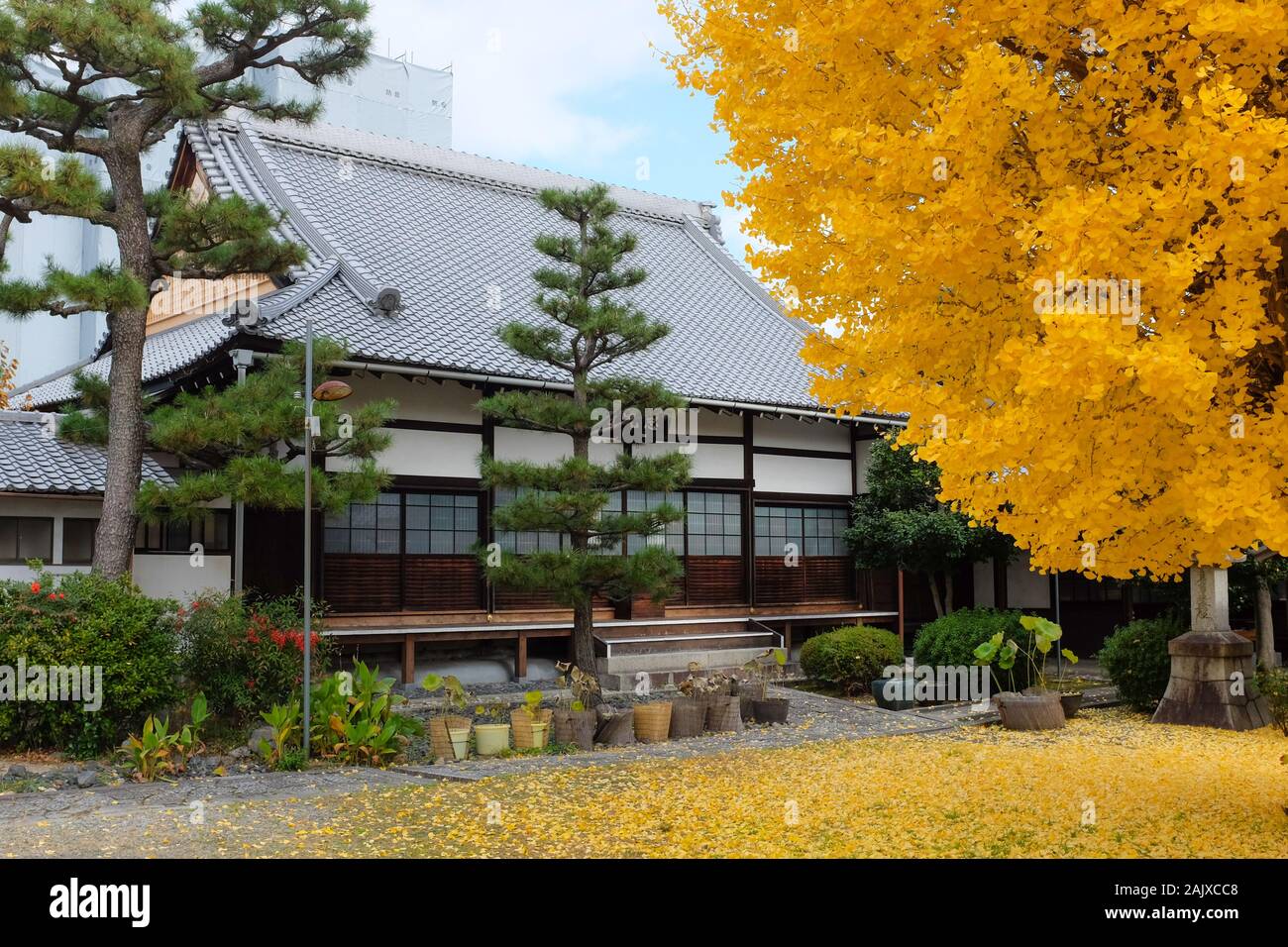 Ekouji temple hi-res stock photography and images - Alamy