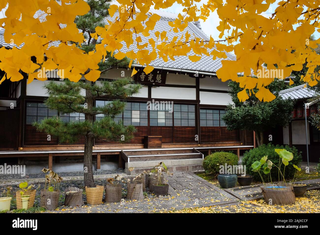 Ekoji Temple in Kyoto, Japan Stock Photo - Alamy
