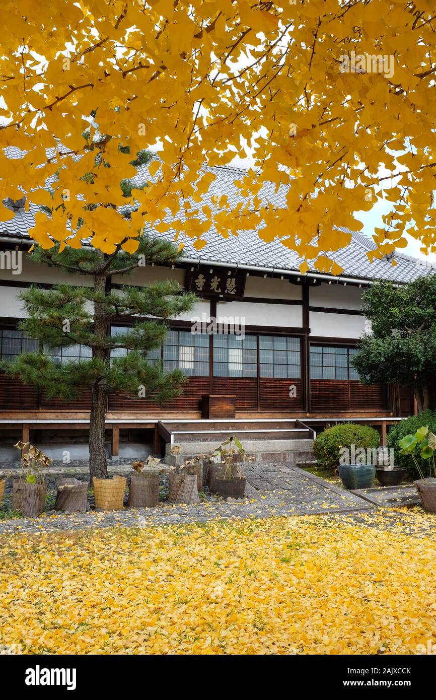 Ekouji temple hi-res stock photography and images - Alamy