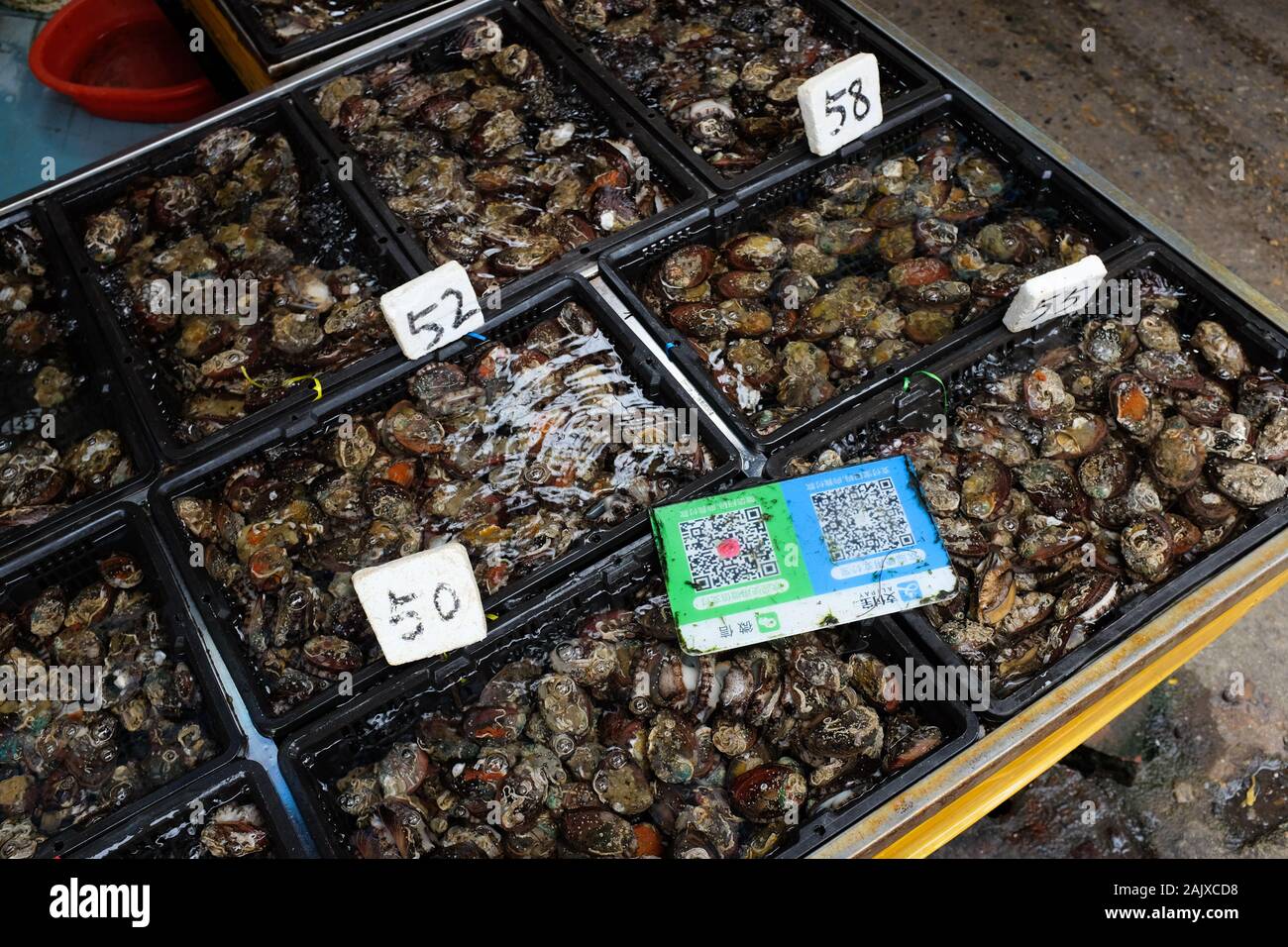 QR codes for WeChat Pay and Alipay in China that enable people to use ...