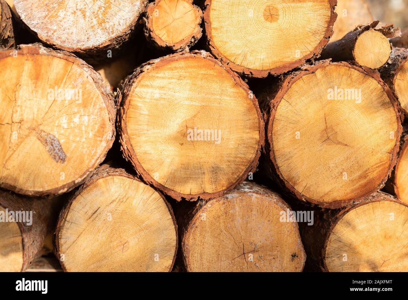 Wood nature outdoors Stock Photo - Alamy