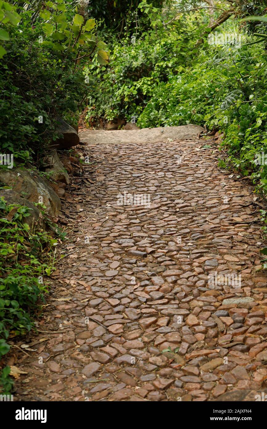 Cobbled stone footpath in Kirstenbosch National Botanical Garden,Cape ...