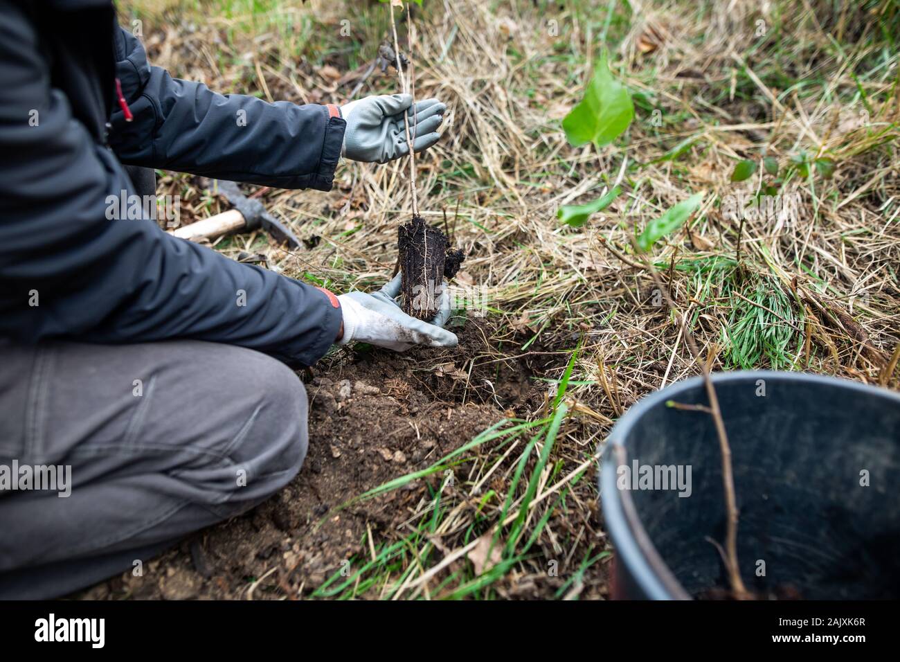 Safe the planet, man planting a tree in the ruined forest, help the ...