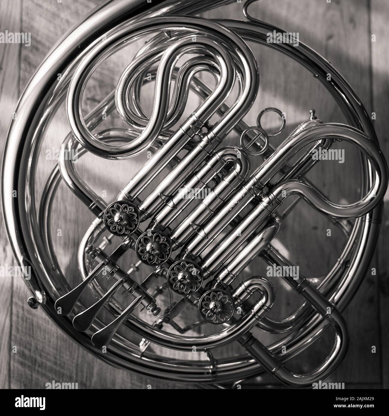 French Horn Section High Resolution Stock Photography and Images - Alamy