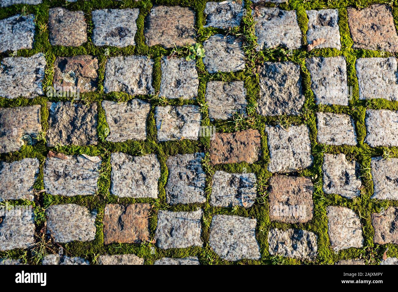 Fragment of pedestrian cobblestone pavement with green moss in old ...