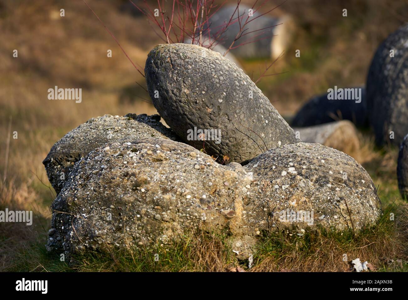 Sedimentary rocks (concretions) in the natural park in Romania Stock ...