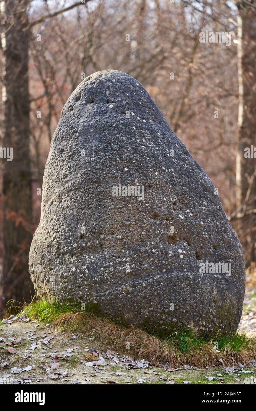 Sedimentary rocks (concretions) in the natural park in Romania Stock ...