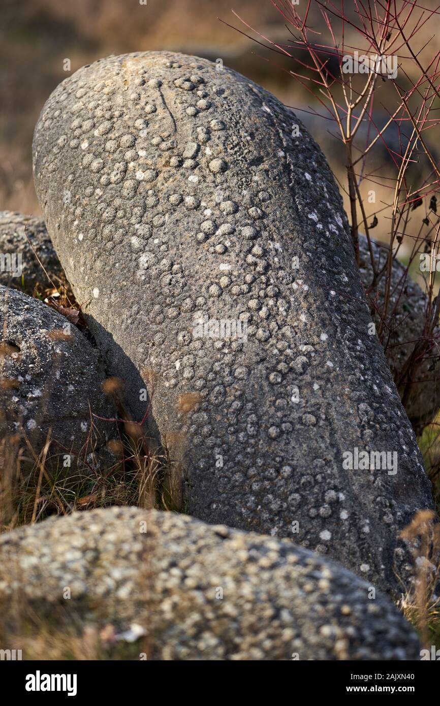Sedimentary rocks (concretions) in the natural park in Romania Stock ...