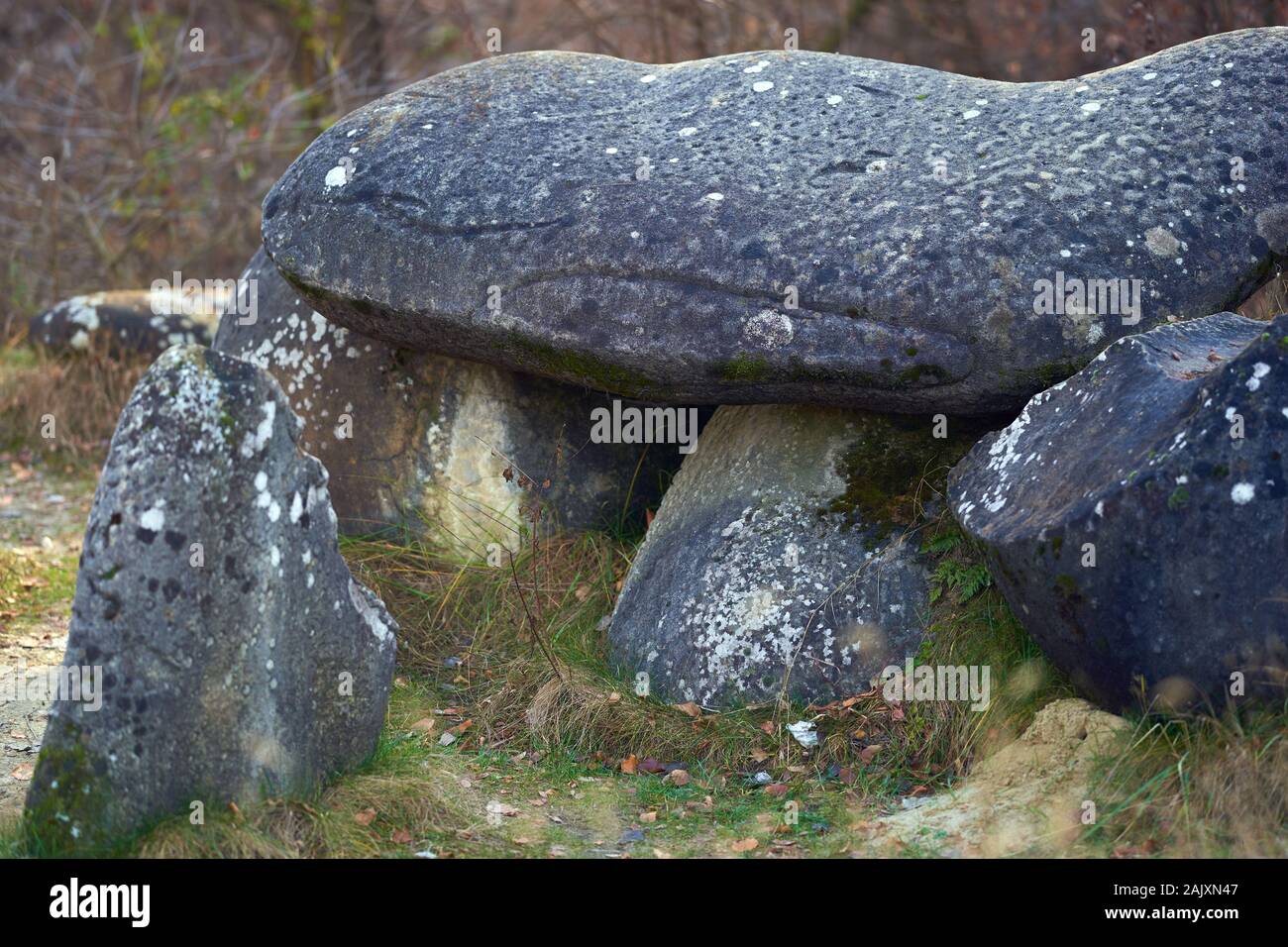 Sedimentary rocks (concretions) in the natural park in Romania Stock ...