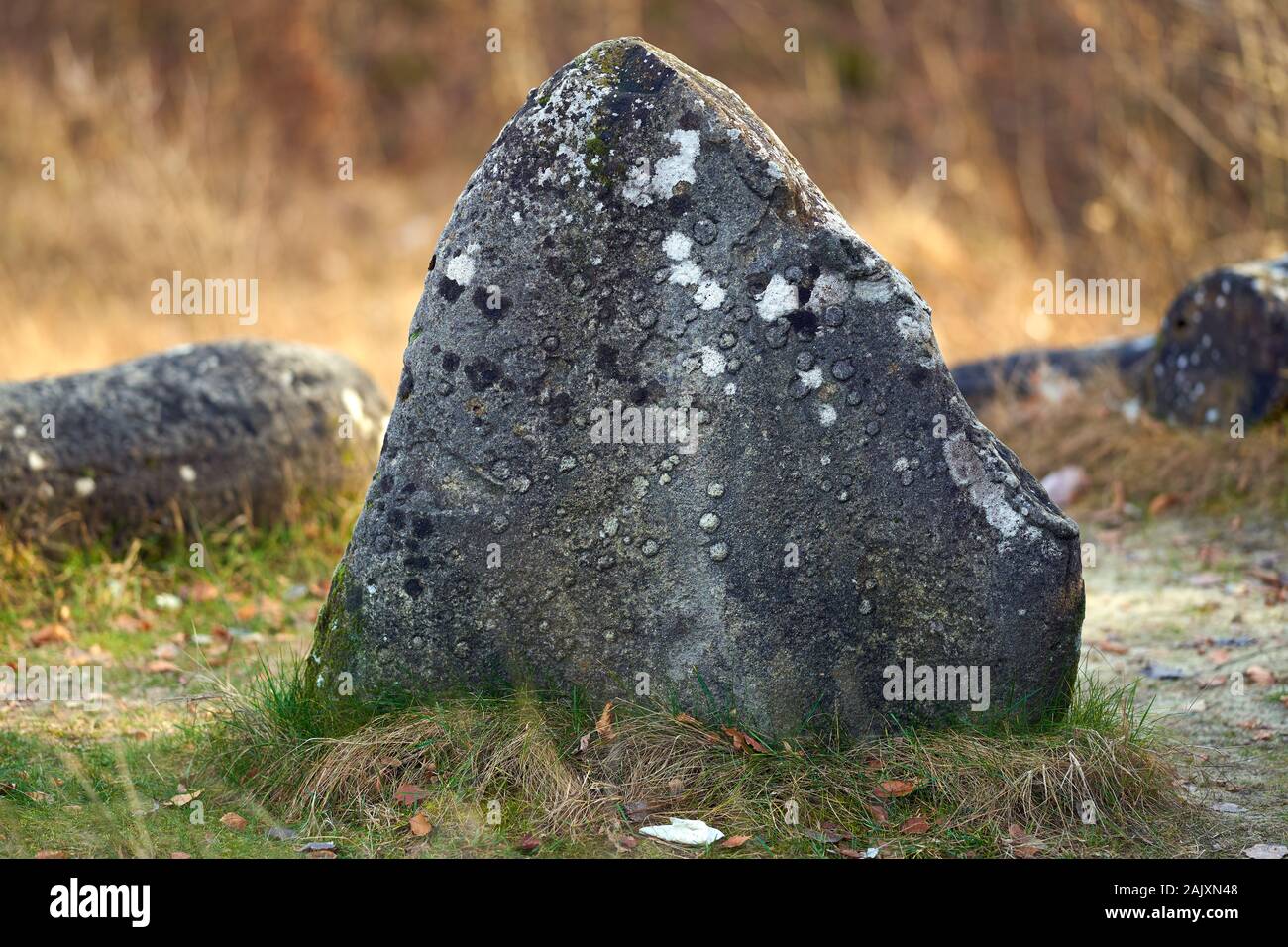 Sedimentary rocks (concretions) in the natural park in Romania Stock ...