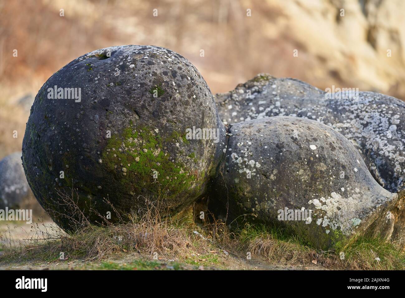 Sedimentary rocks (concretions) in the natural park in Romania Stock ...