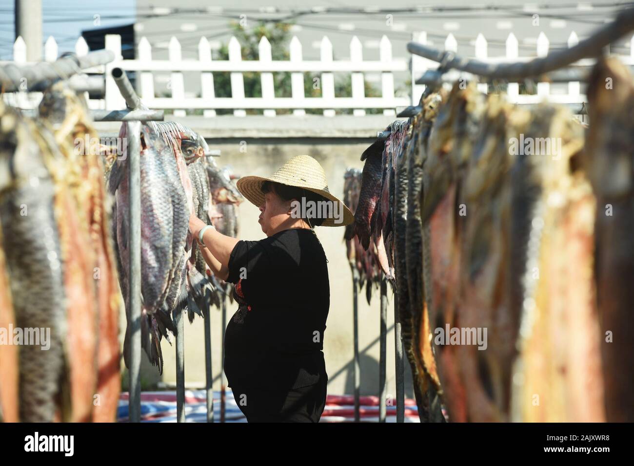 China Fish Processing High Resolution Stock Photography and Images - Alamy