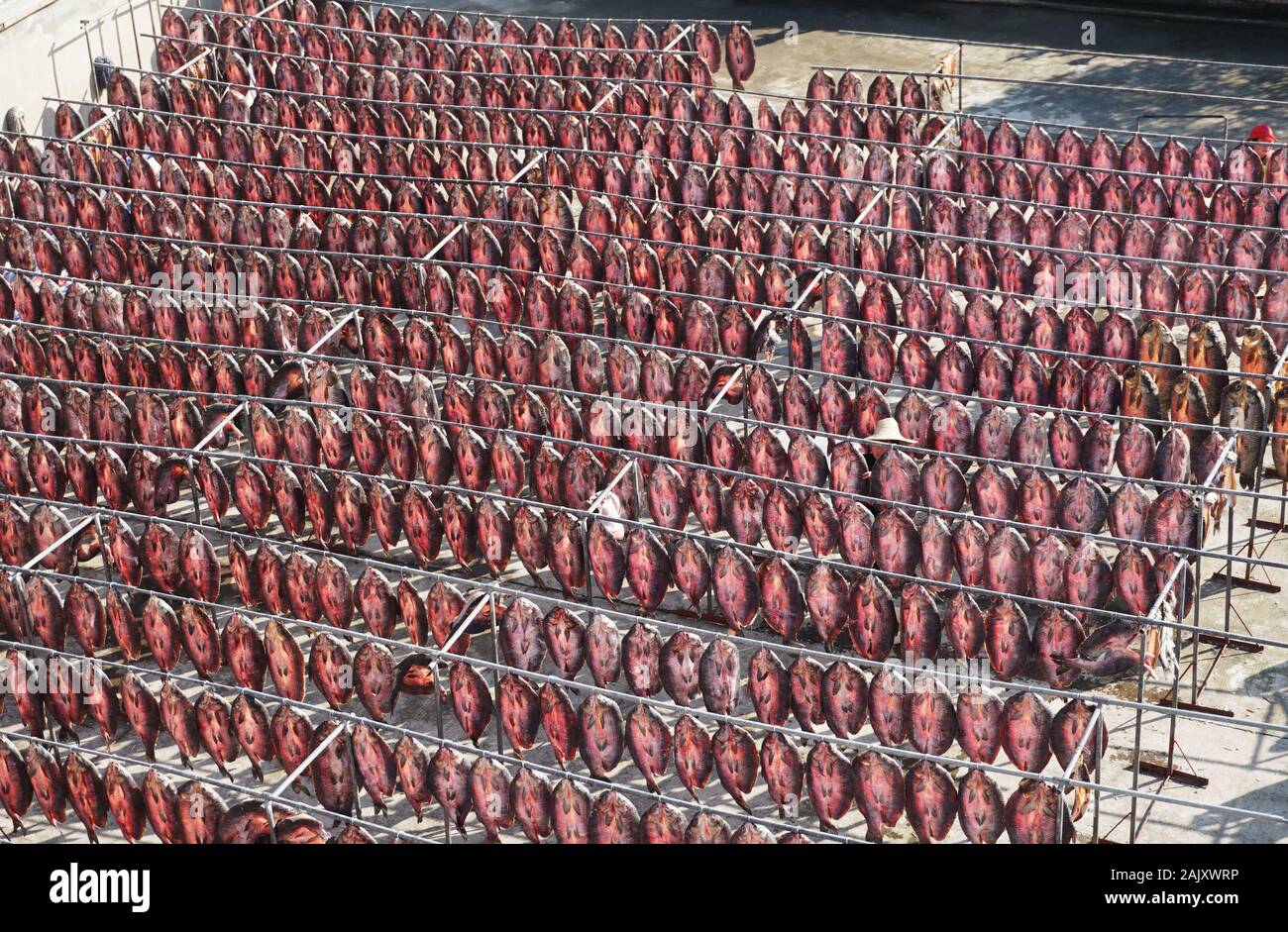 Fish is hung up for drying in preparation for the upcoming Chinese New ...