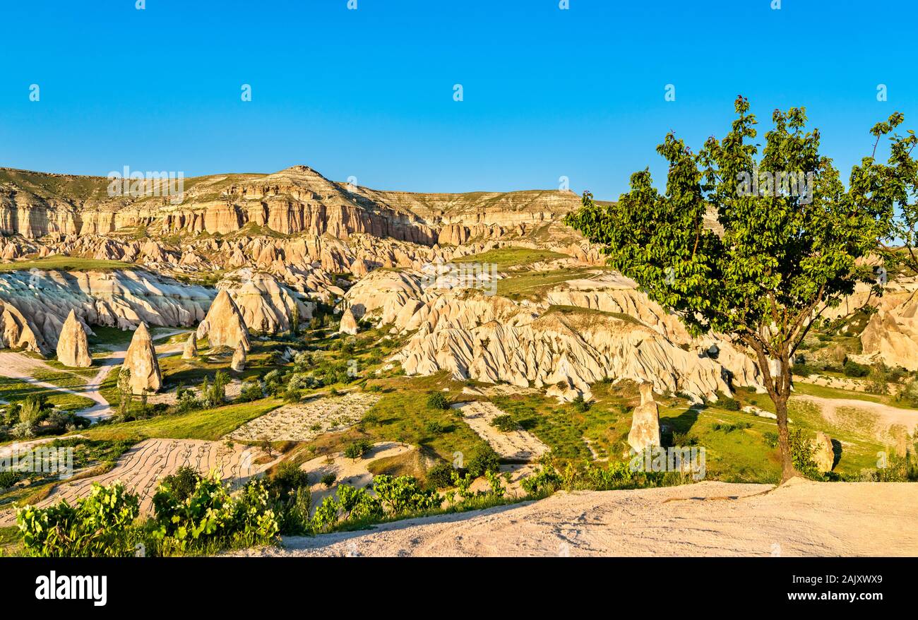 Rose valley turkey hi-res stock photography and images - Alamy