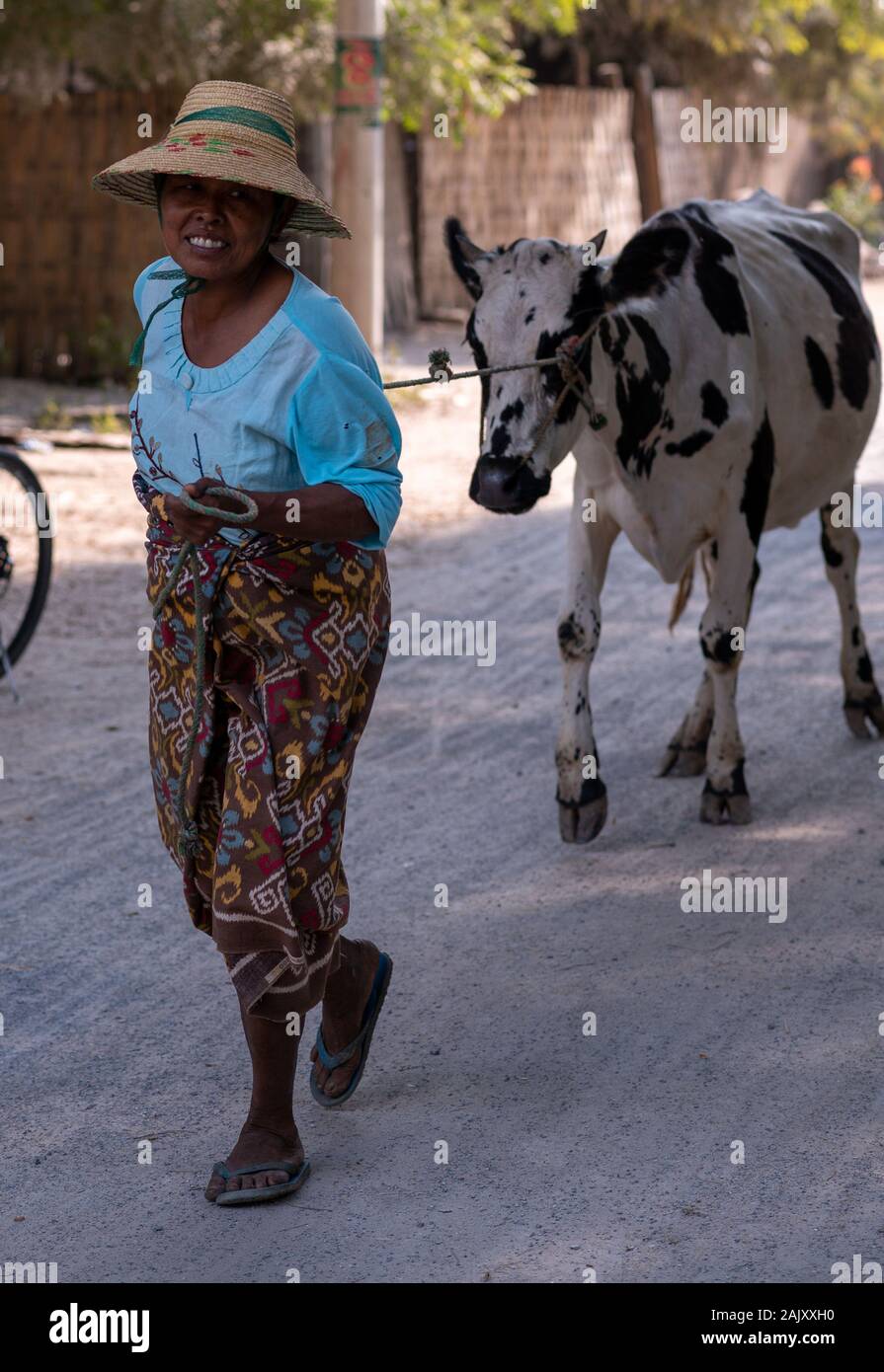 Lady cow hi-res stock photography and images - Alamy