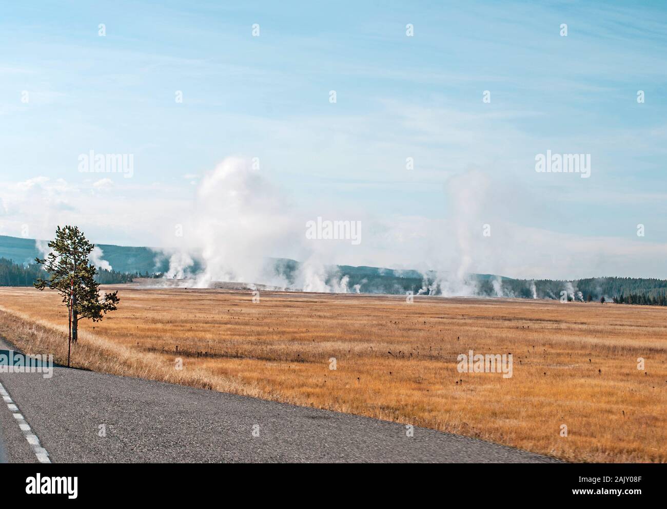 Field with steam from hot springs in the background Stock Photo - Alamy