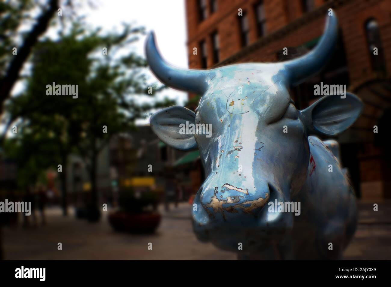 Cowtown hi-res stock photography and images - Alamy