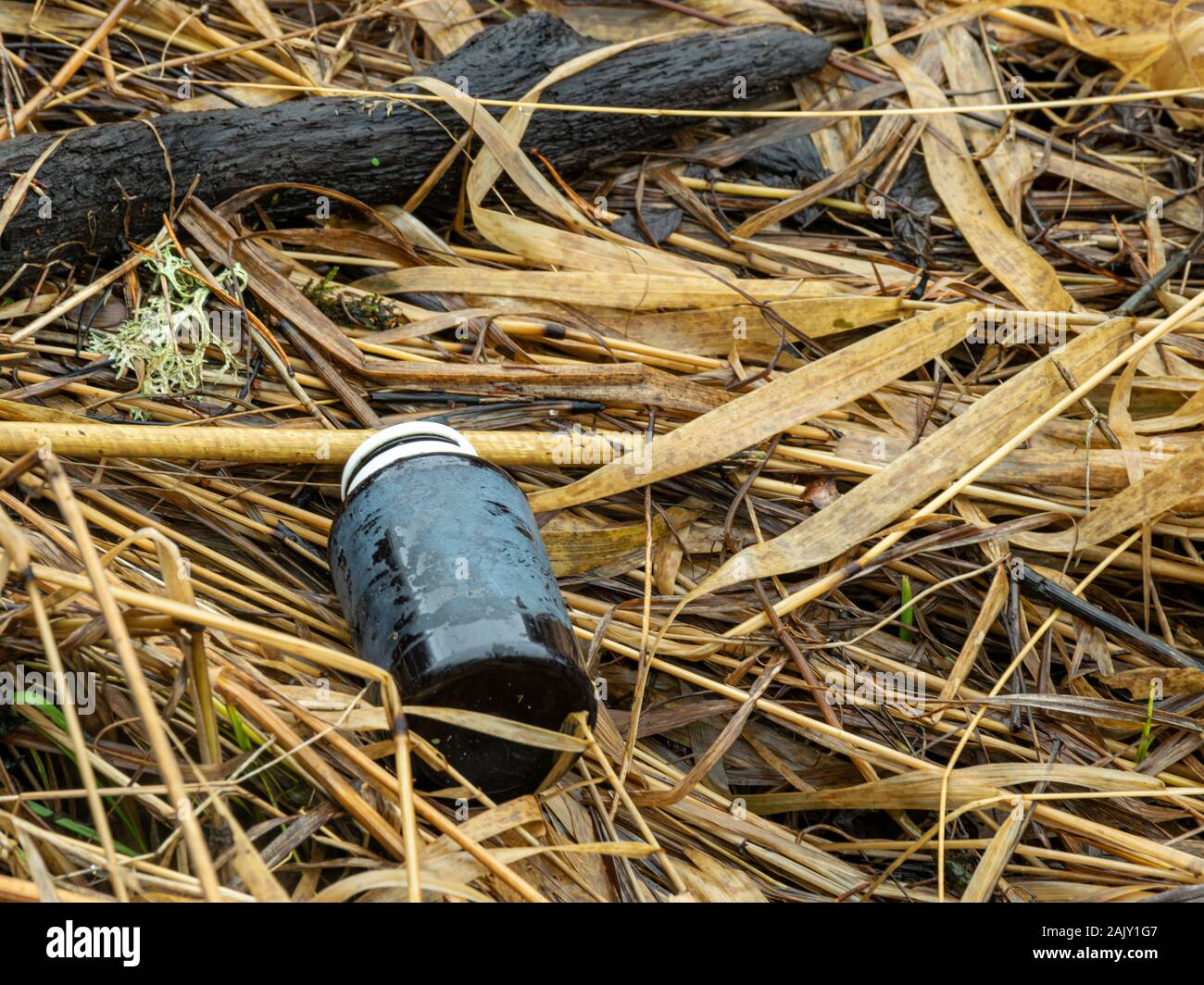 picture of people leaving garbage on the river bank, garbage ingested ...