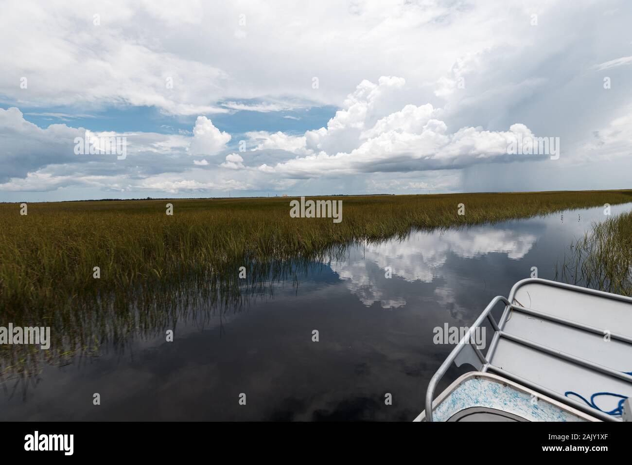 Exploring Everglades National Park by iconic airboat tour with scenic ...