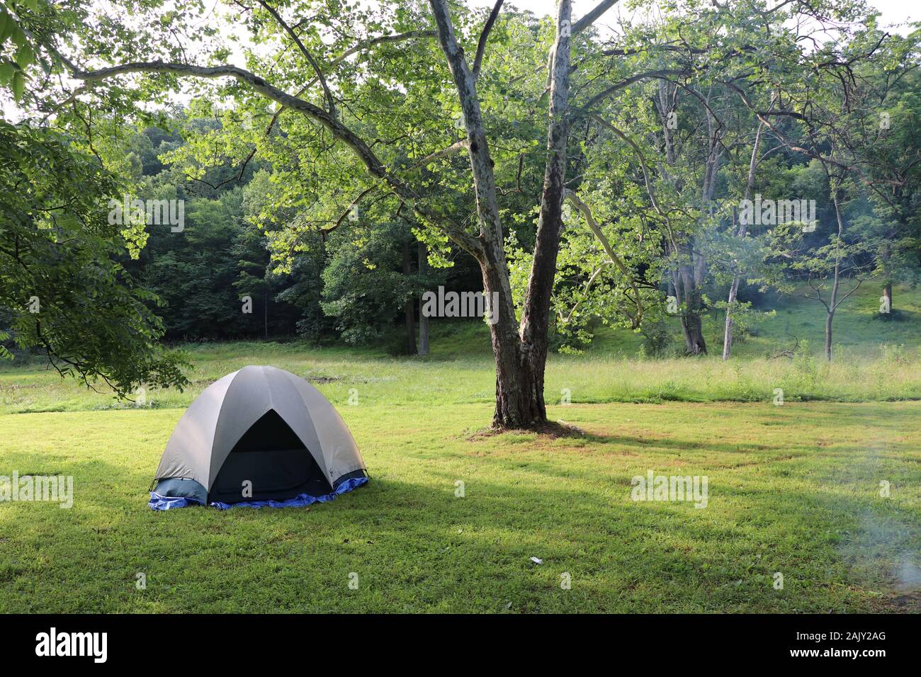 Tent Camping Under A Tree Stock Photo - Alamy
