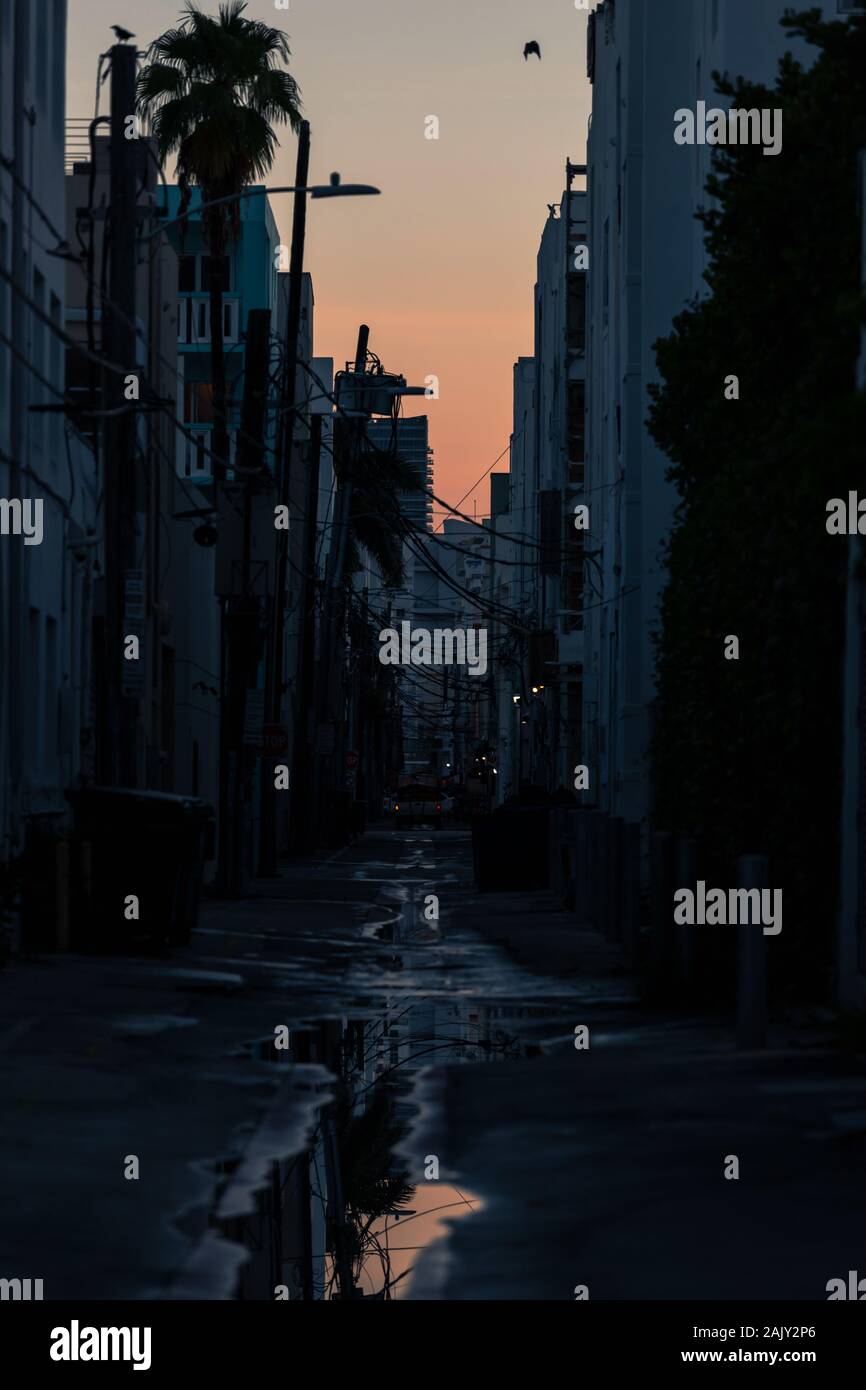 Typical American hidden back alley during an early sunrise in Miami ...