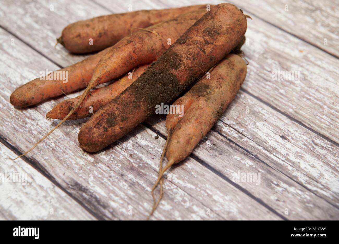 Heritage Carrot High Resolution Stock Photography and Images - Alamy
