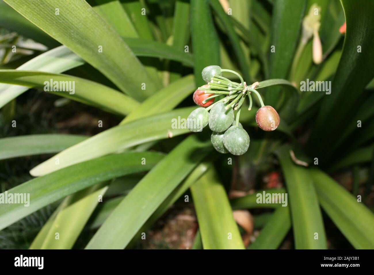 Cleave sky hi-res stock photography and images - Alamy