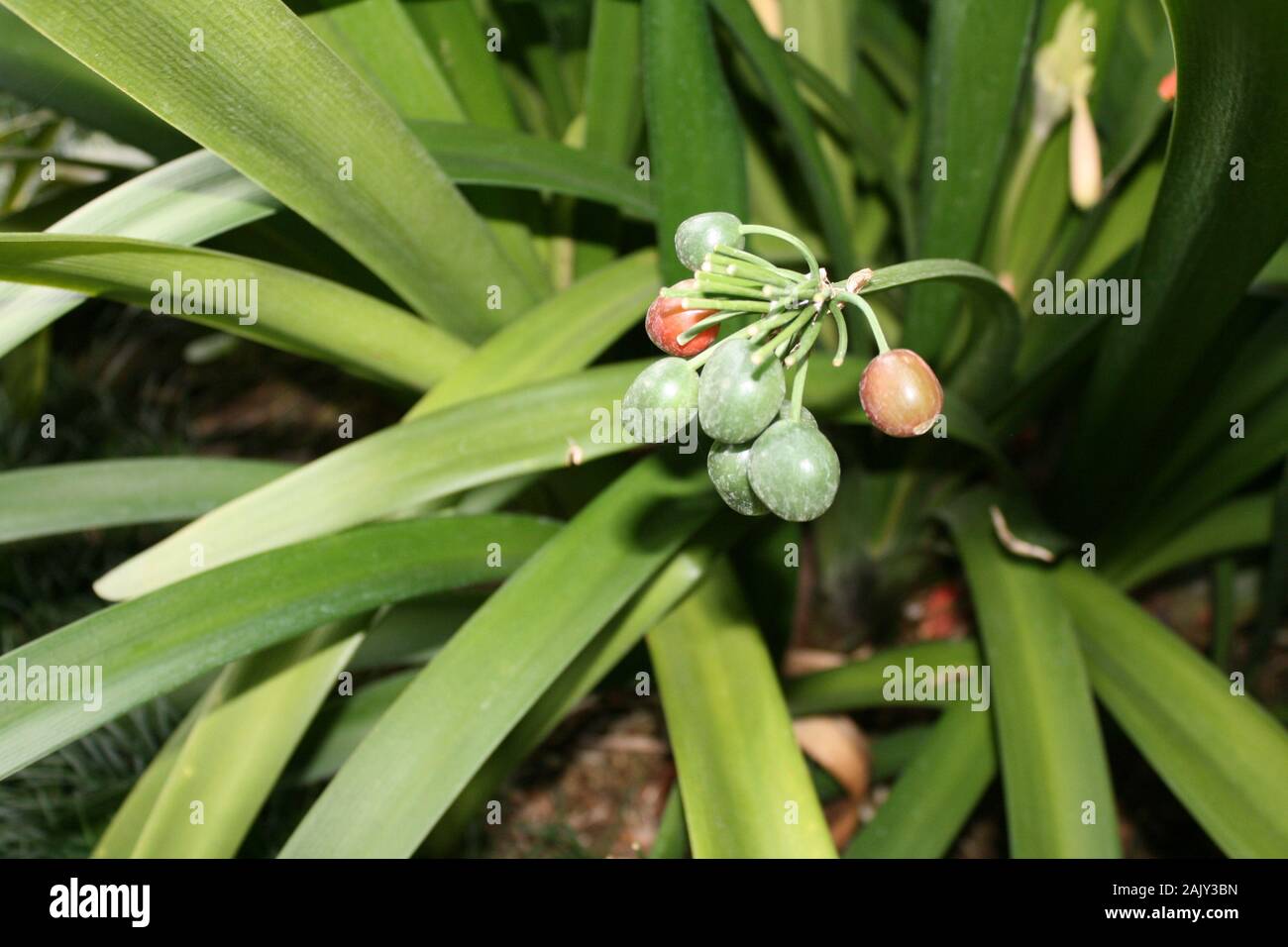 Cleave sky hi-res stock photography and images - Alamy