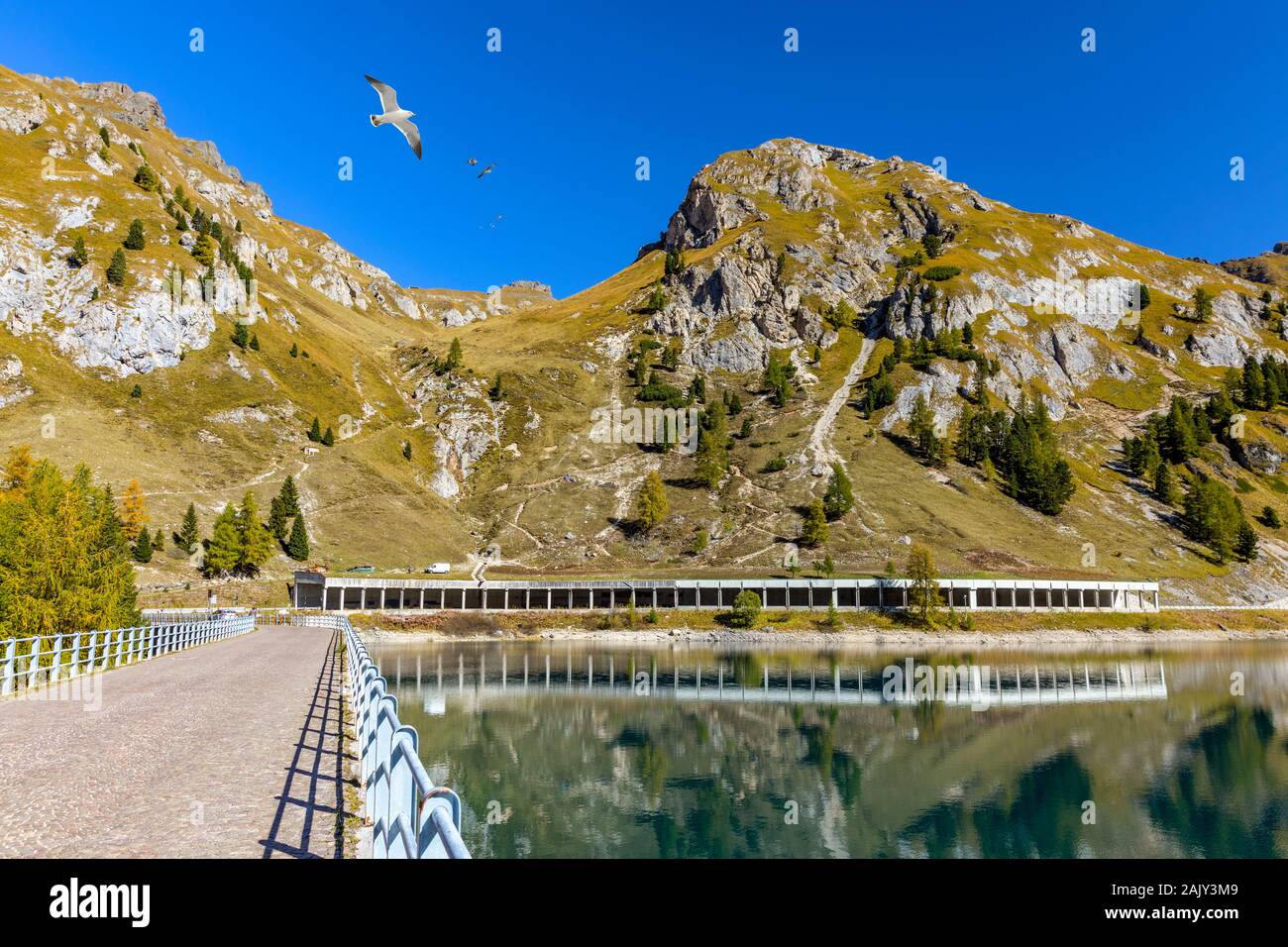 Dam lake fedaia trentino italy hi-res stock photography and images - Alamy