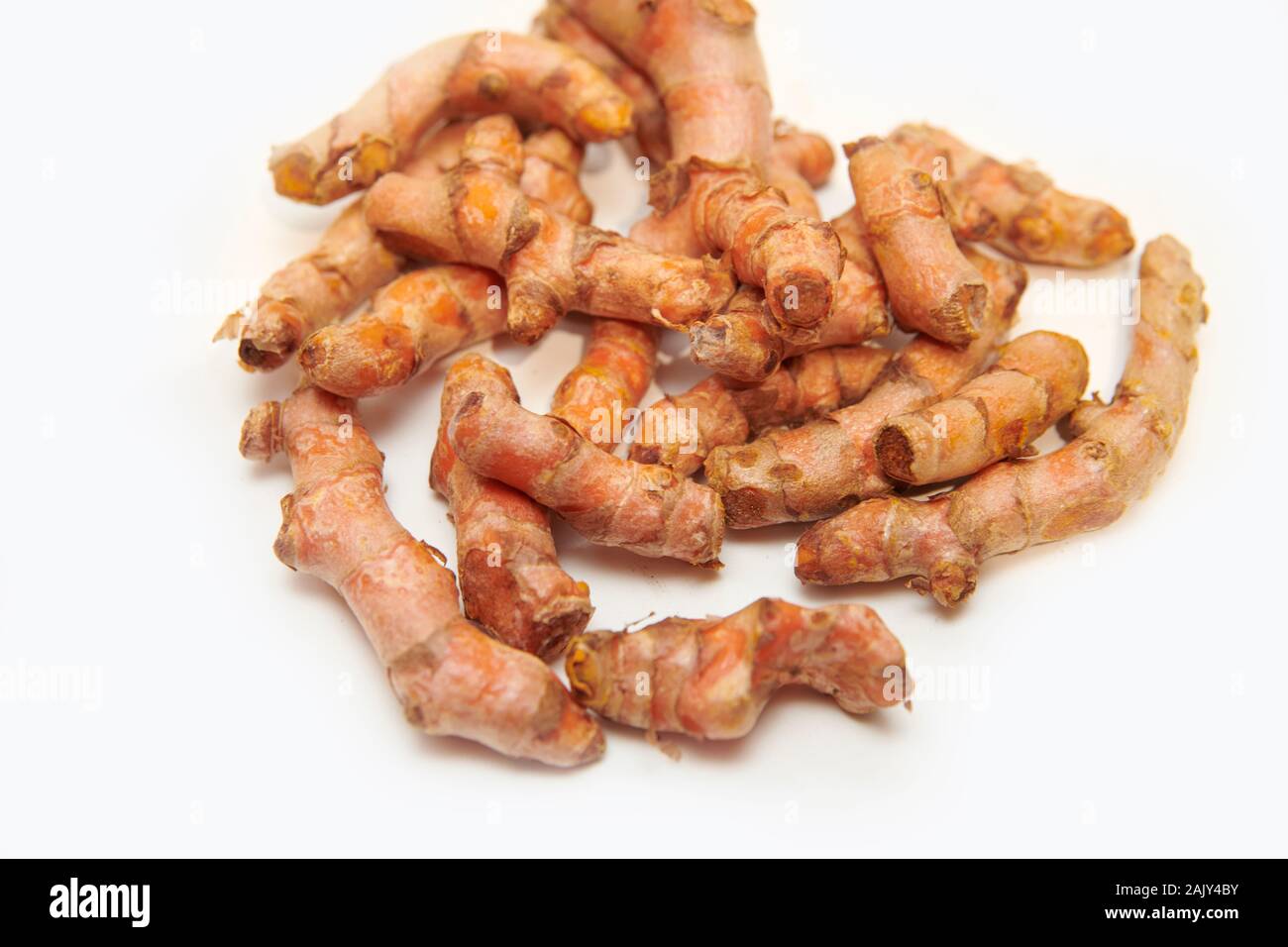 Fresh Turmeric Root (Curcuma longa) on a white background (Not cut out ...