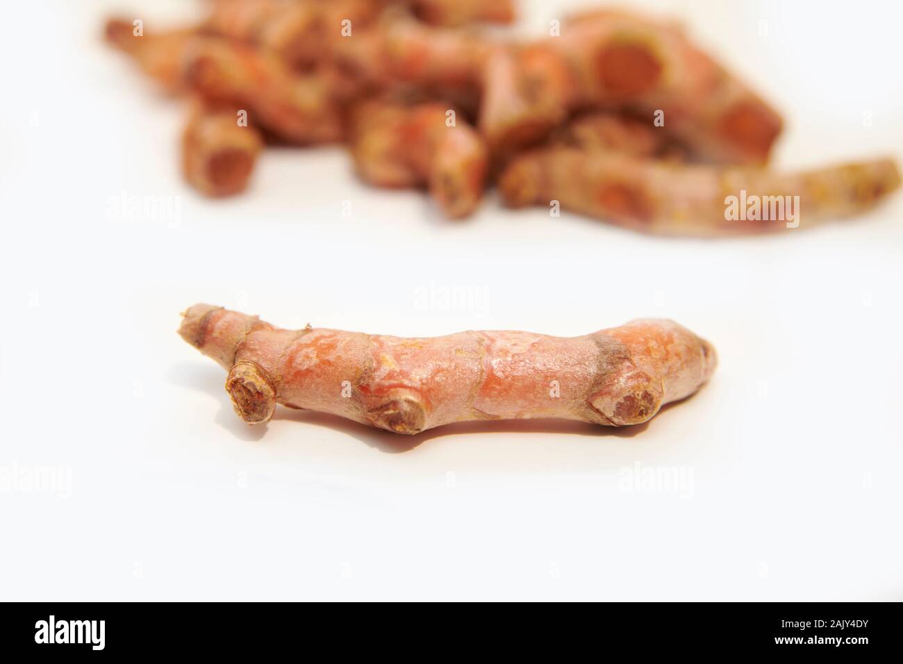 Fresh Turmeric Root (Curcuma longa) on a white background (Not cut out ...