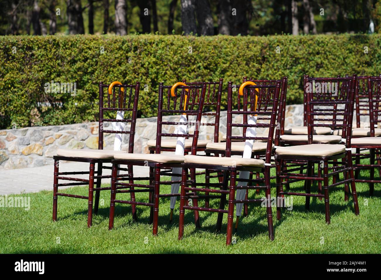 Rows of chairs for guests at an open-air wedding ceremony Stock Photo ...