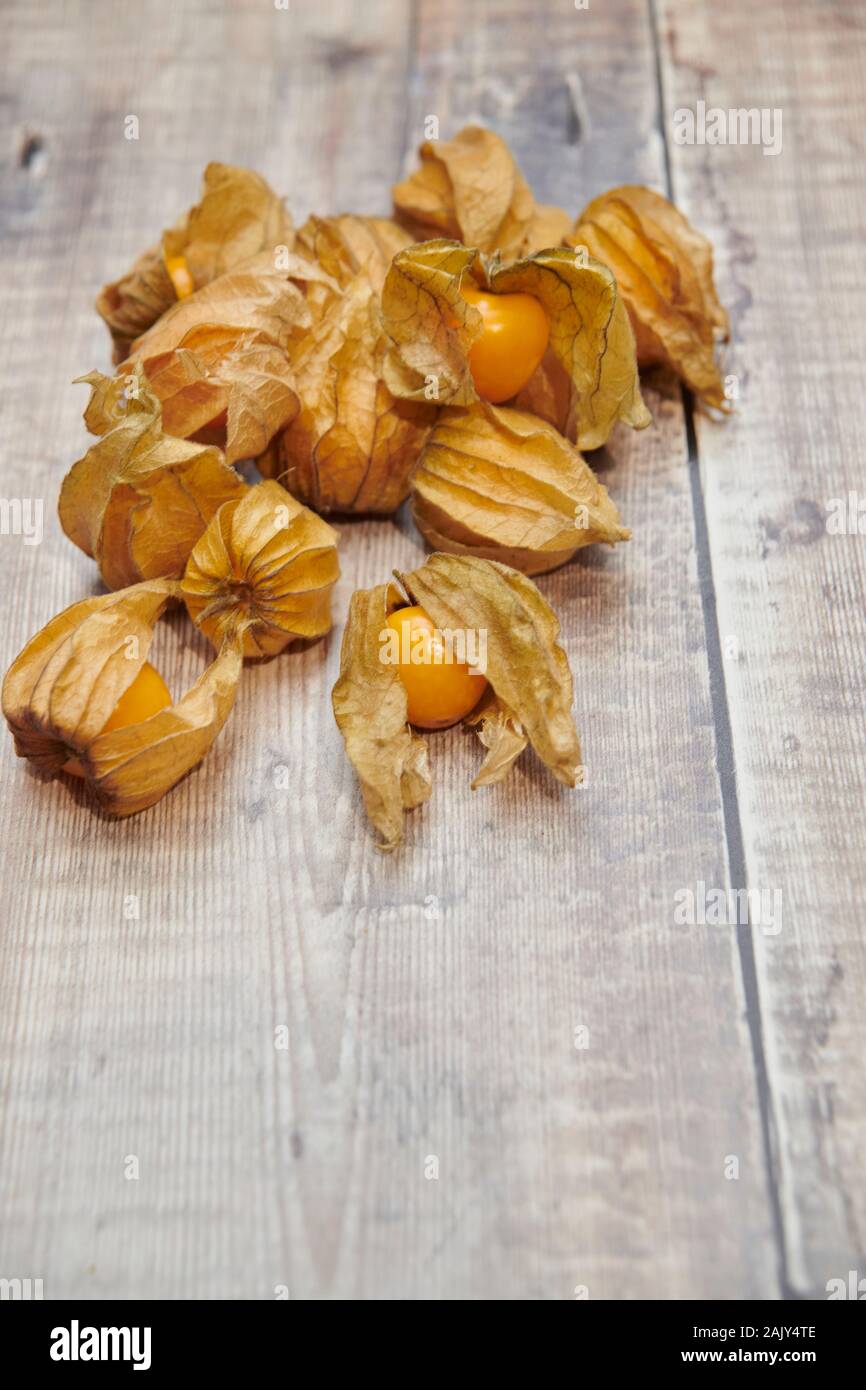 Chinese lampion physalis hi-res stock photography and images - Alamy