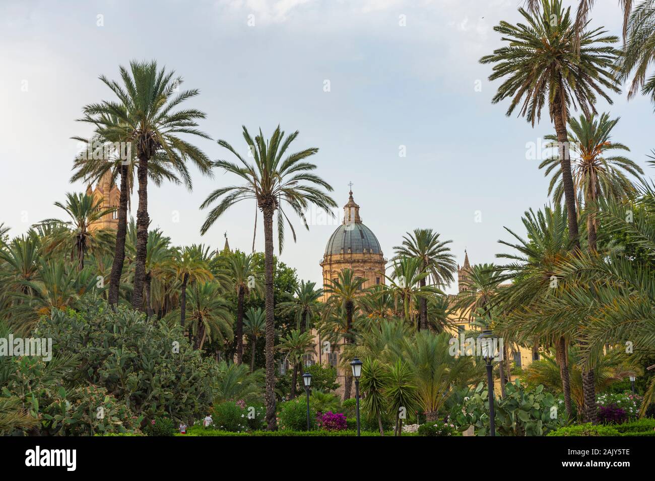 Palm trees palermo hi-res stock photography and images - Alamy