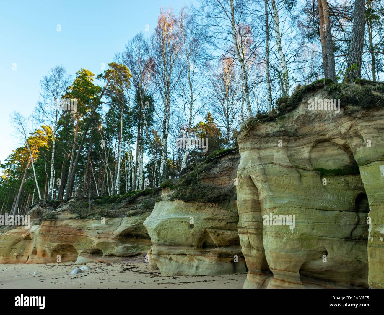 landscape with sandstone cliff at sunrise, rocky seashore, windy ...