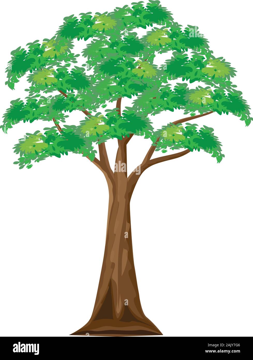 isolated green tree vector design Stock Vector Image & Art - Alamy