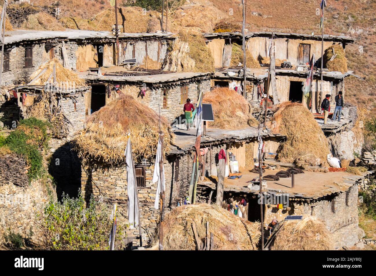 Traditional Tibetan village, Tarrakot, Dolpo, Nepal. Crops being stored ...