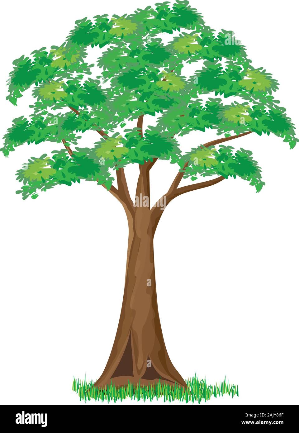 isolated green tree vector design Stock Vector Image & Art - Alamy
